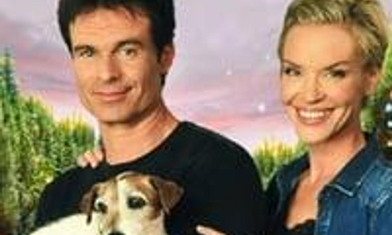 Holiday Road Trip - Where to Watch and Stream Online – Entertainment.ie