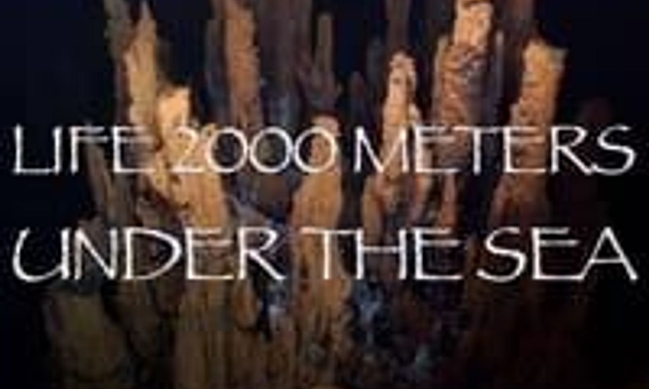 Life 2,000 Meters Under the Sea - Where to Watch and Stream Online ...