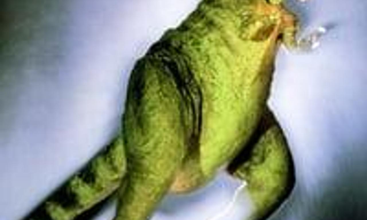 Carnosaur - Where to Watch and Stream Online – Entertainment.ie