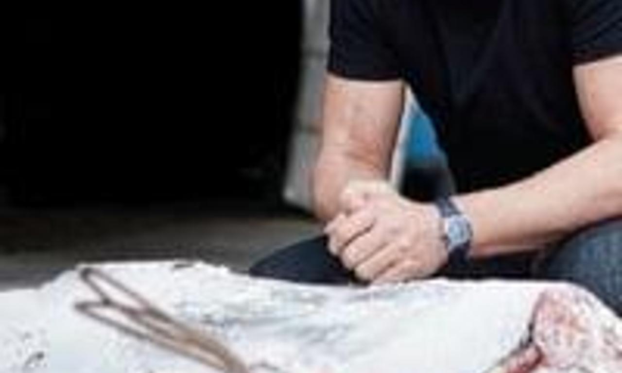 Gordon Ramsay: Shark Bait - Where to Watch and Stream Online ...
