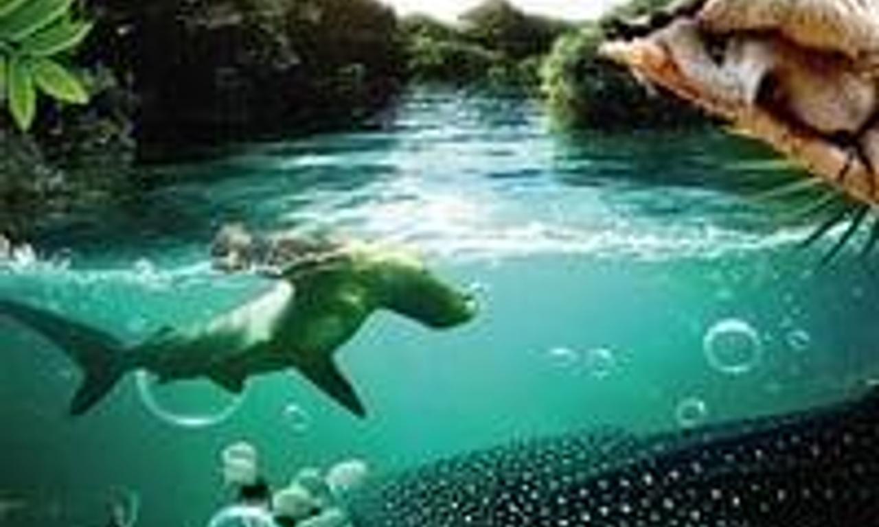 Evolution 4K - Where to Watch and Stream Online – Entertainment.ie