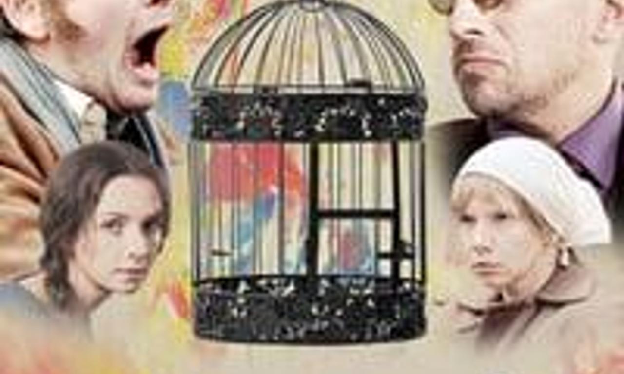 The Cage - Where to Watch and Stream Online – Entertainment.ie