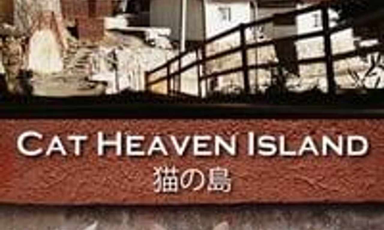 Cat Heaven Island - Where to Watch and Stream Online – Entertainment.ie