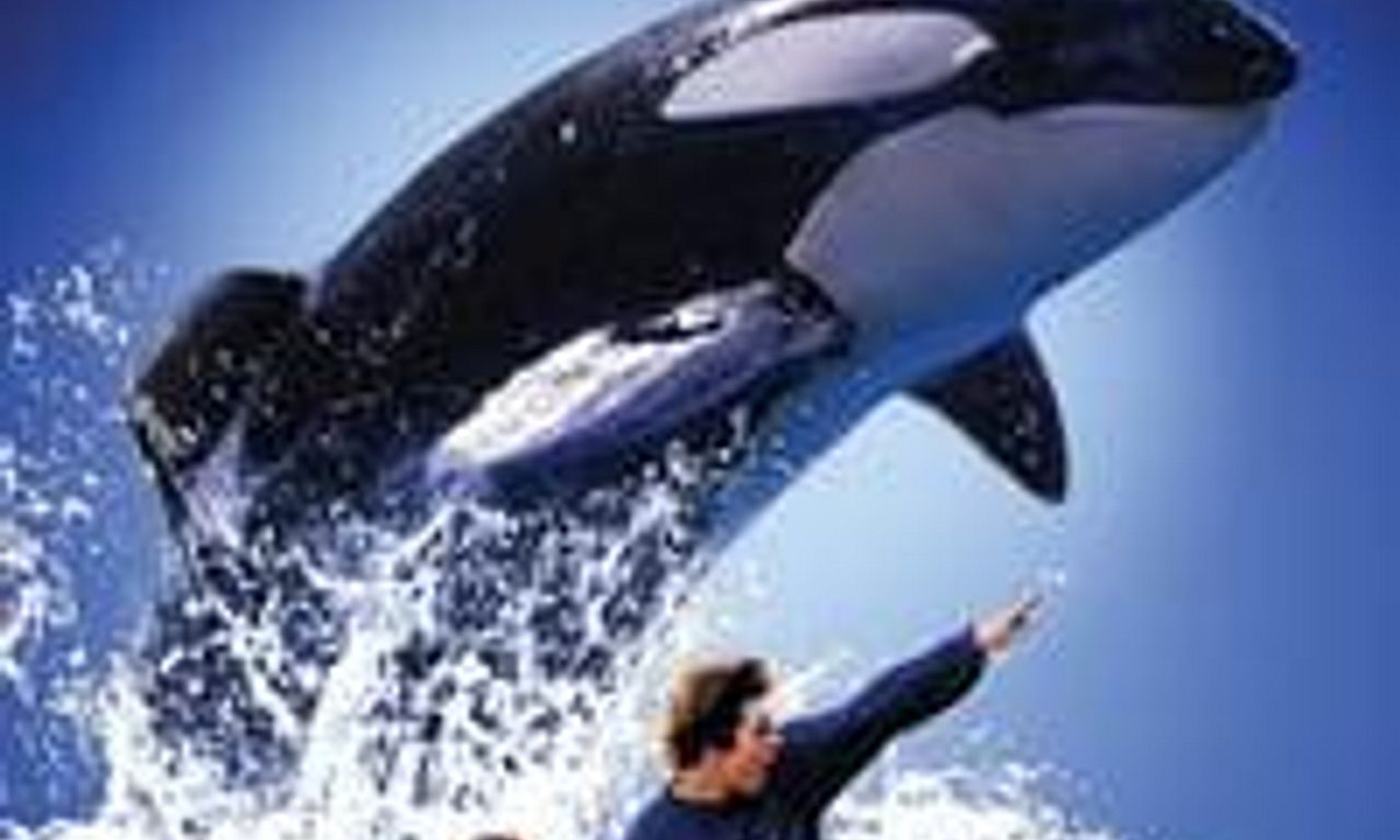 Free Willy 2: The Adventure Home - Where to Watch and Stream Online ...