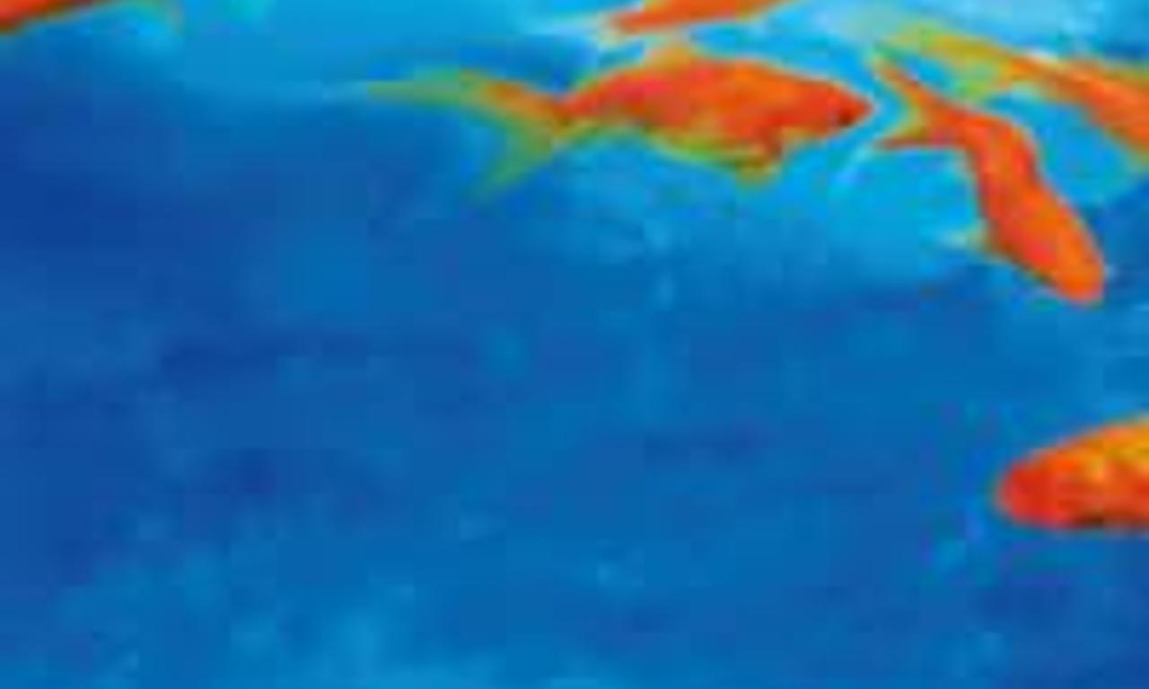 Children of Heaven - Where to Watch and Stream Online – Entertainment.ie