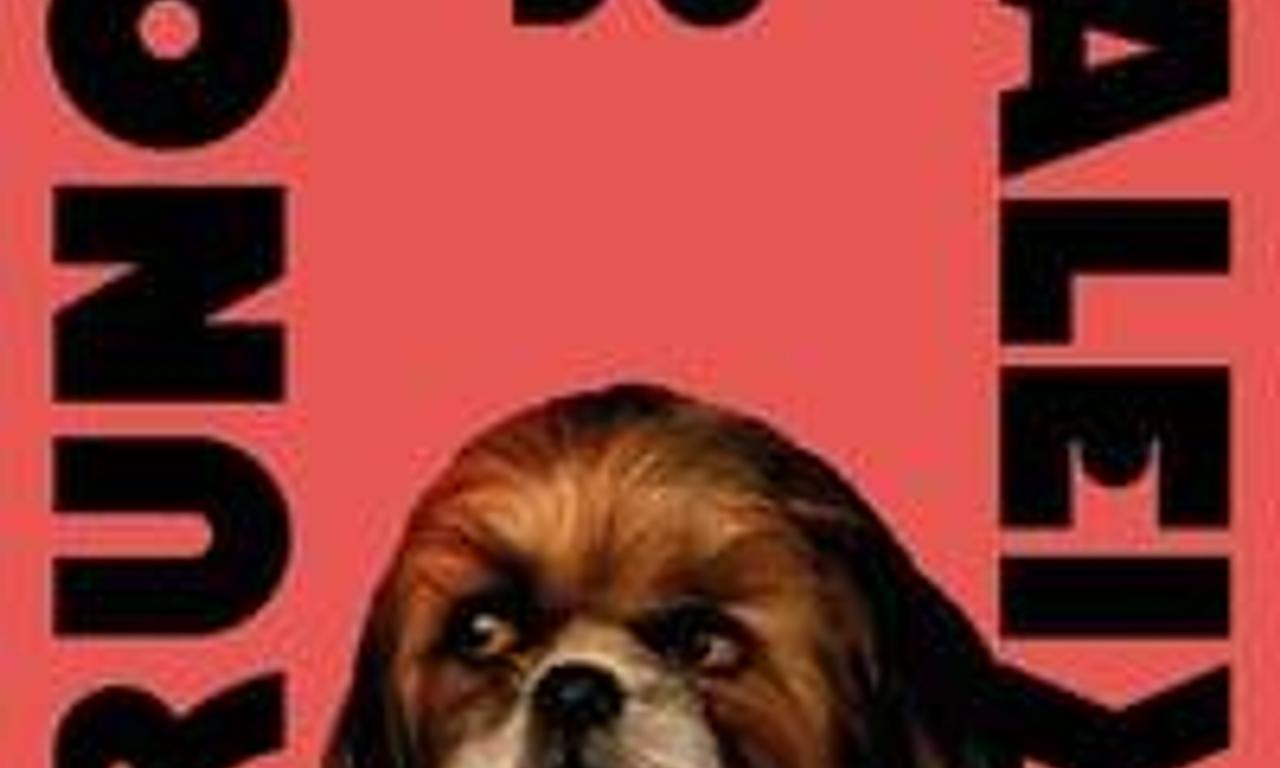 Bruno Aleixo's Film - Where to Watch and Stream Online – Entertainment.ie