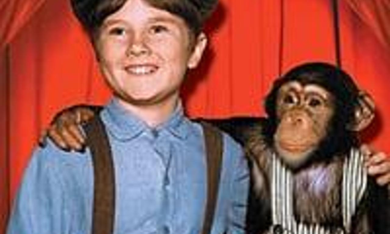 Toby Tyler - Where to Watch and Stream Online – Entertainment.ie