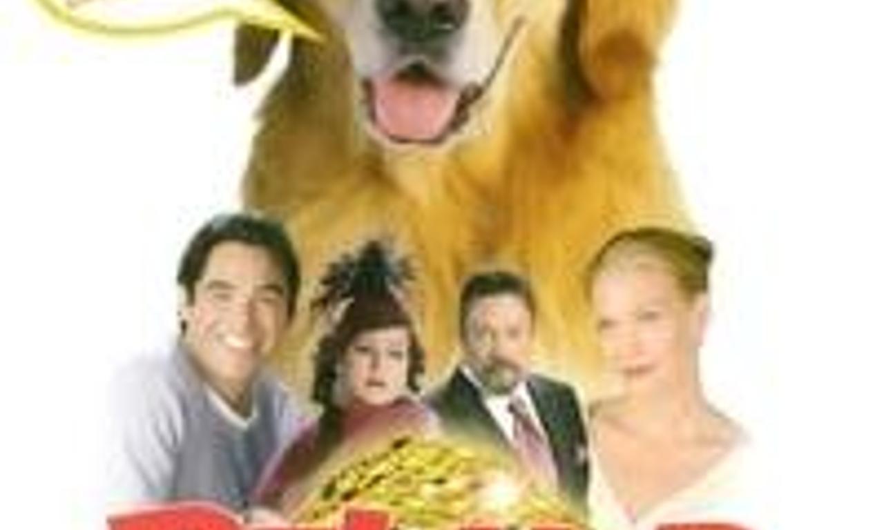 Bailey's Billion$ - Where to Watch and Stream Online – Entertainment.ie