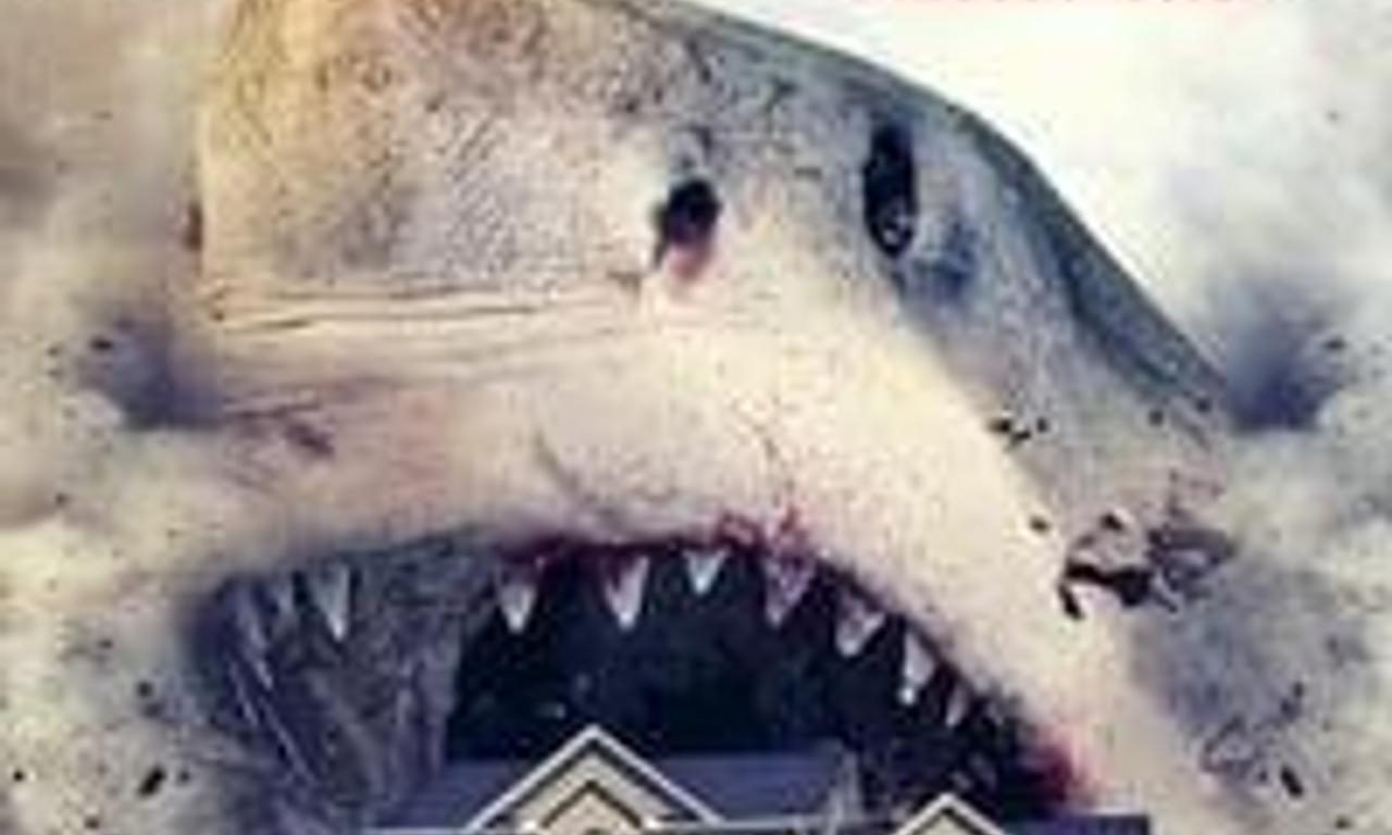 House Shark - Where to Watch and Stream Online – Entertainment.ie