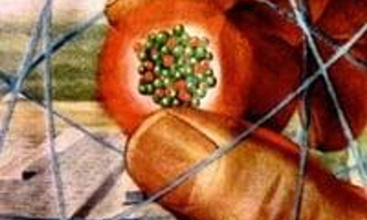 The Atom: A Love Affair - Where to Watch and Stream Online ...