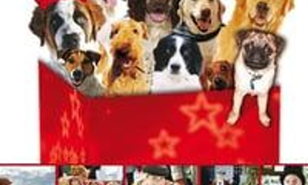 The 12 Dogs of Christmas - Where to Watch and Stream Online ...