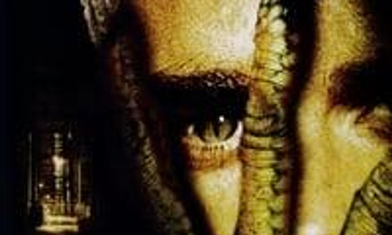 Anonymous Rex - Where to Watch and Stream Online – Entertainment.ie