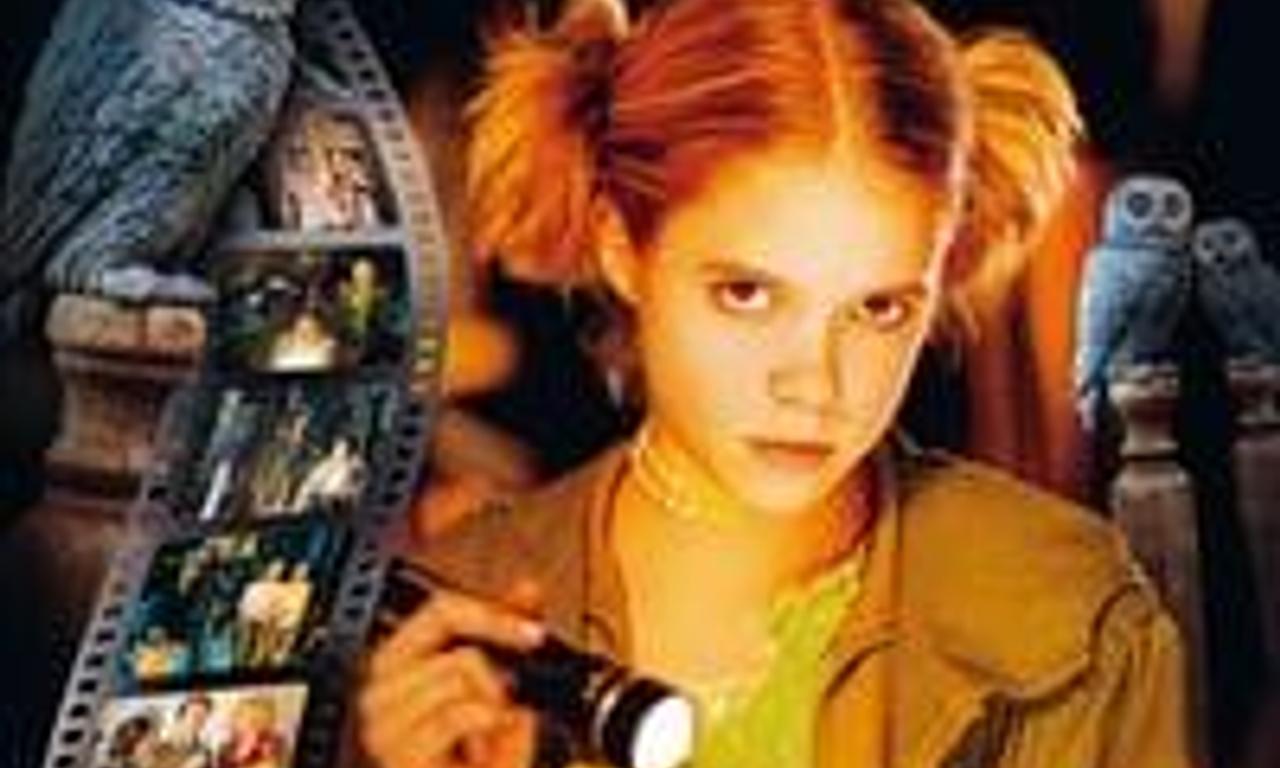 Bibi Blocksberg and the Secret of Blue Owls - Where to Watch and Stream ...