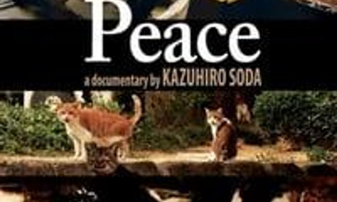 Peace - Where to Watch and Stream Online – Entertainment.ie