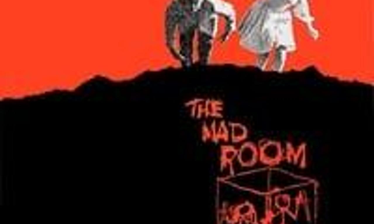 The Mad Room - Where to Watch and Stream Online – Entertainment.ie