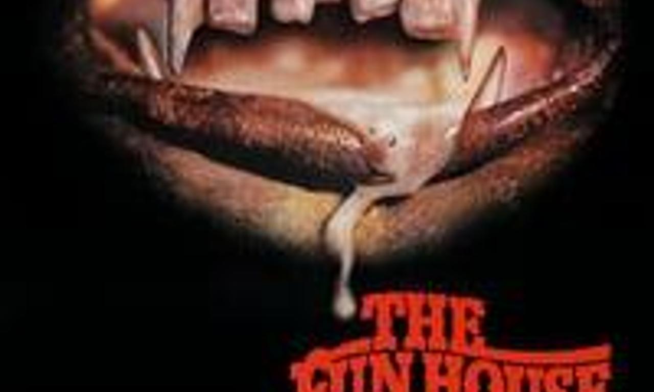 The Funhouse - Where to Watch and Stream Online – Entertainment.ie