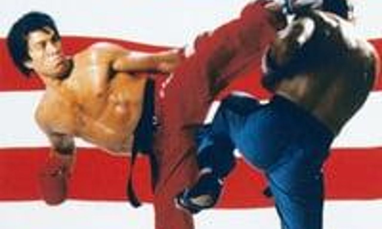 American Kickboxer - Where to Watch and Stream Online – Entertainment.ie