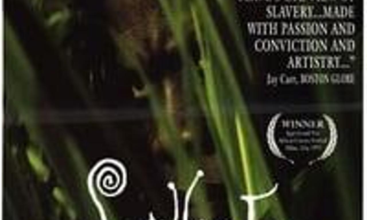 Sankofa - Where to Watch and Stream Online – Entertainment.ie