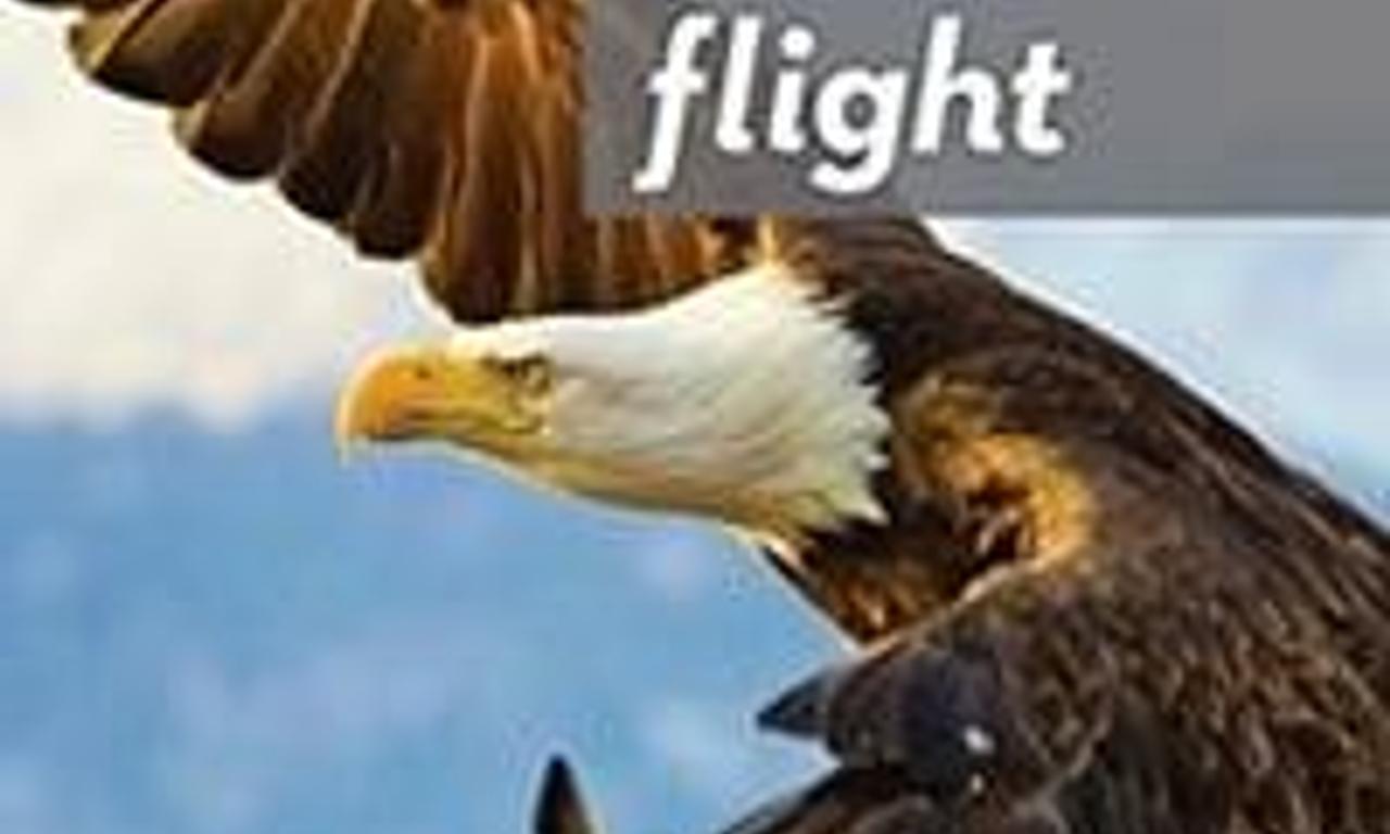 Flight: The Genius of Birds - Where to Watch and Stream Online ...