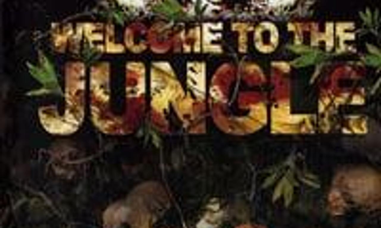 Welcome to the Jungle - Where to Watch and Stream Online – Entertainment.ie