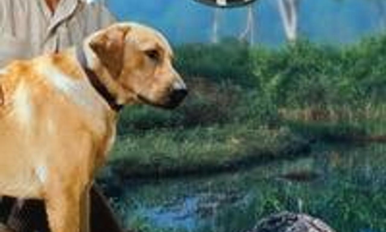 Rascal - Where to Watch and Stream Online – Entertainment.ie