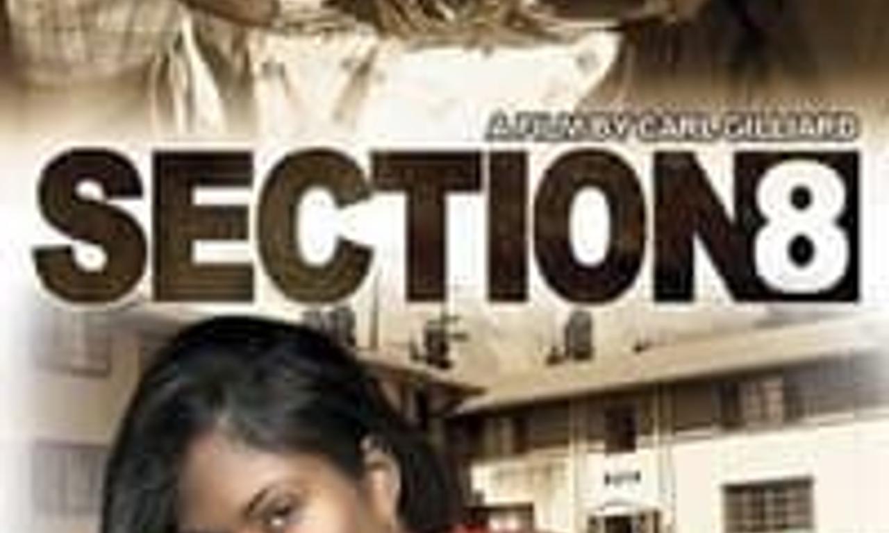 Section 8 - Where to Watch and Stream Online – Entertainment.ie