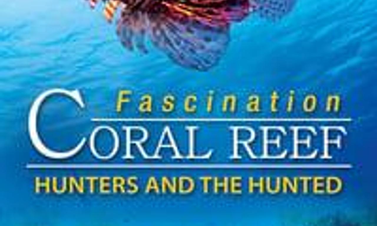 Fascination Coral Reef: Hunters and the Hunted - Where to Watch and ...