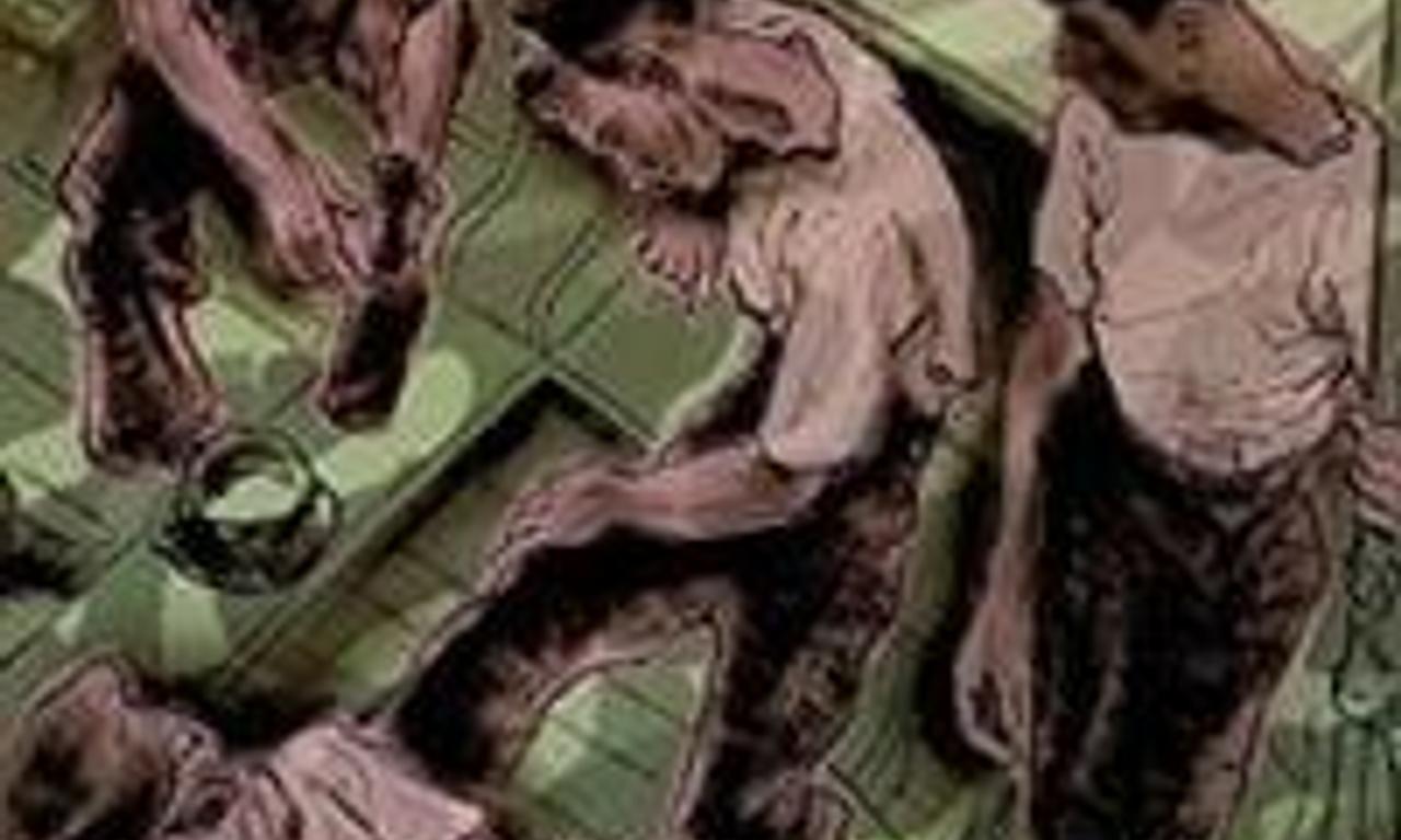 Open Secrets - Where to Watch and Stream Online – Entertainment.ie