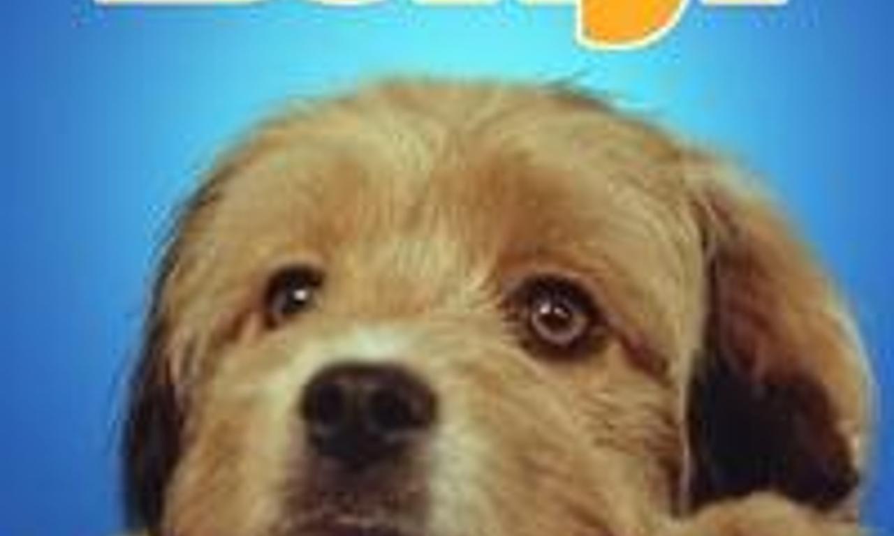 For the Love of Benji - Where to Watch and Stream Online – Entertainment.ie