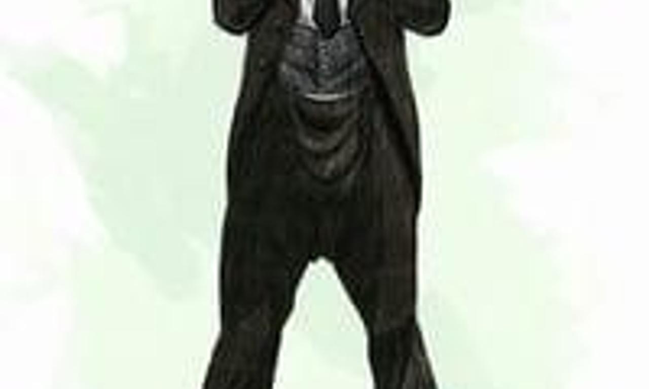 The High Sign - Where to Watch and Stream Online – Entertainment.ie