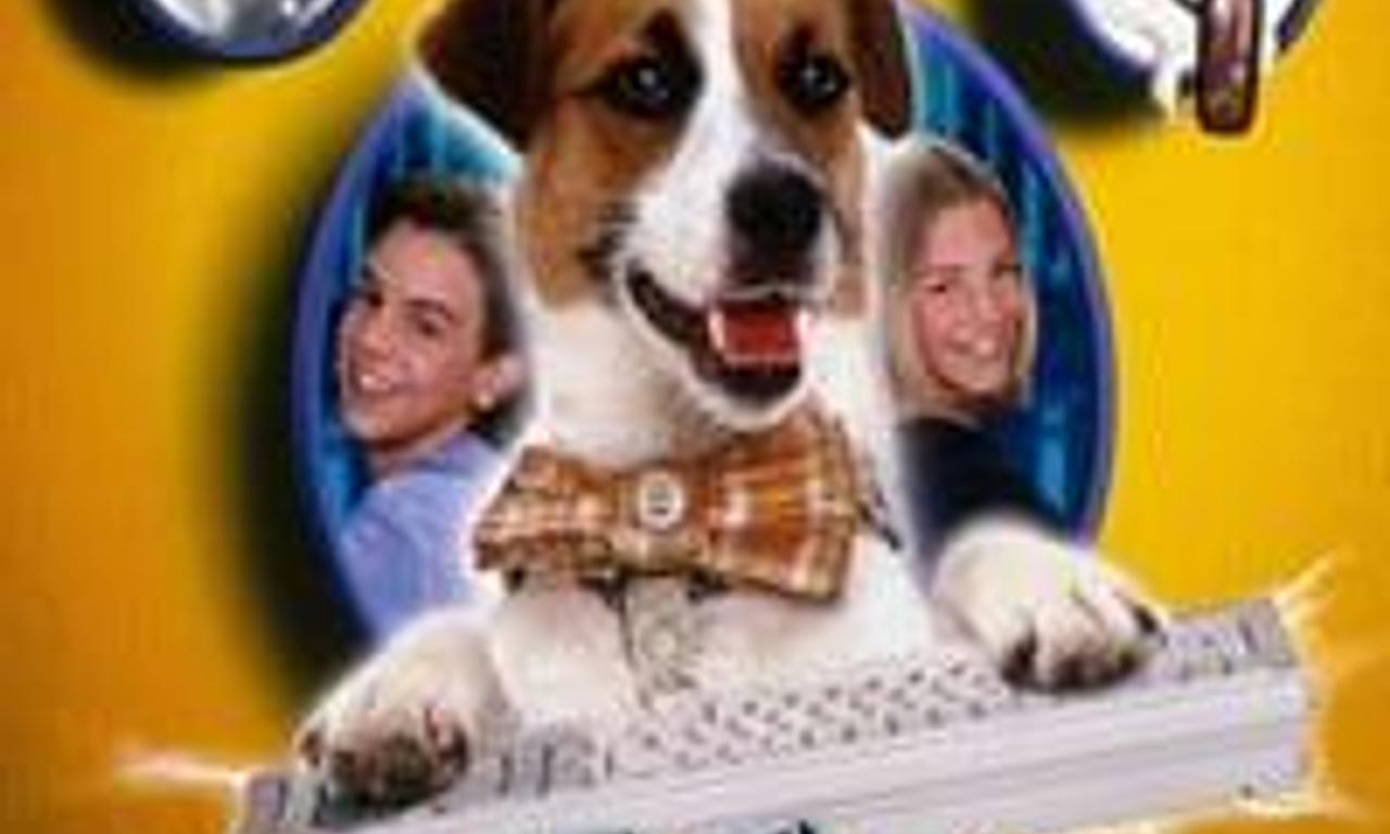 Paws - Where to Watch and Stream Online – Entertainment.ie