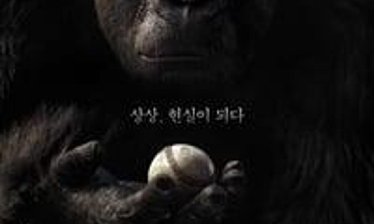 Mr. Go - Where to Watch and Stream Online – Entertainment.ie