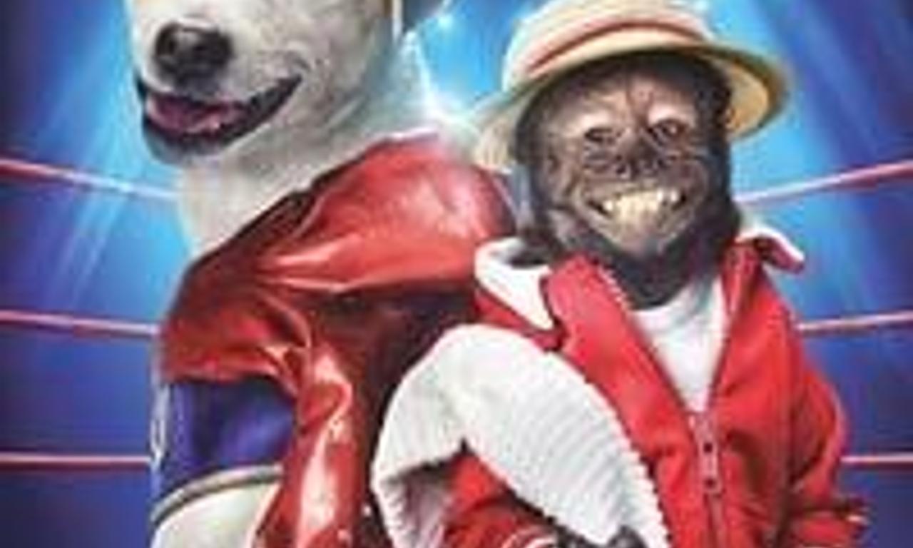 Russell Madness - Where to Watch and Stream Online – Entertainment.ie