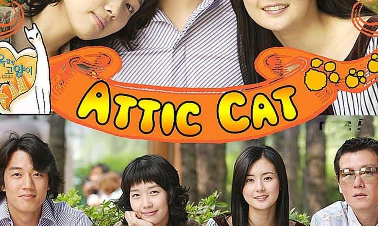 Attic Cat - Where to Watch and Stream Online – Entertainment.ie