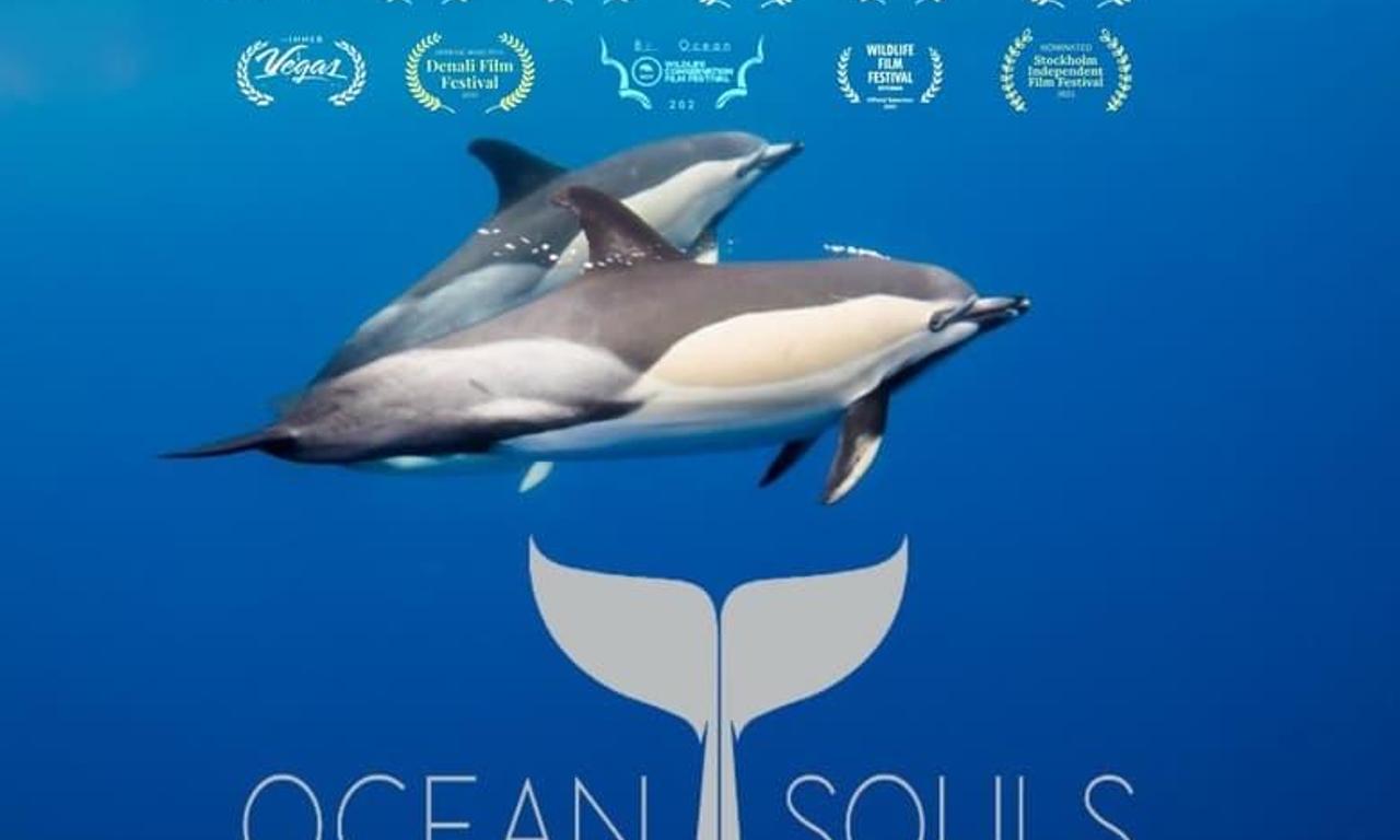 Ocean Souls - Where to Watch and Stream Online – Entertainment.ie