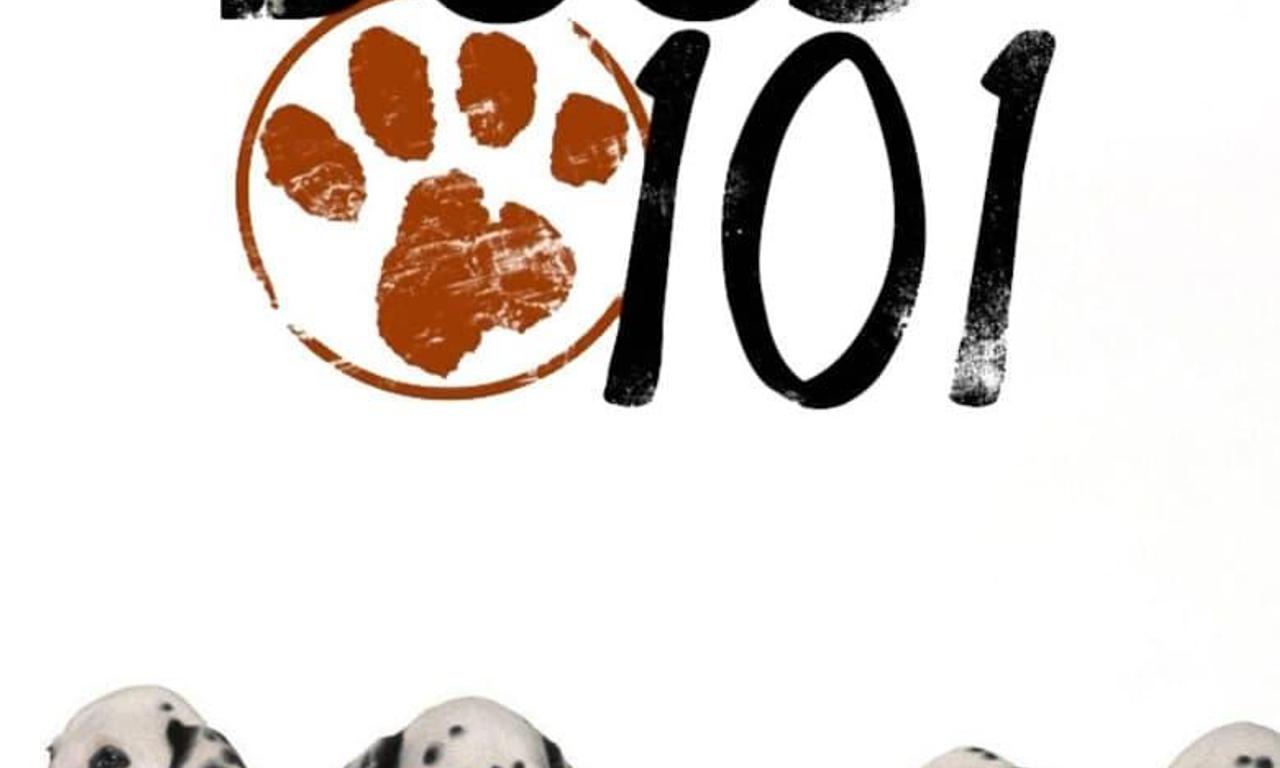 Dogs 101 - Where to Watch and Stream Online – Entertainment.ie