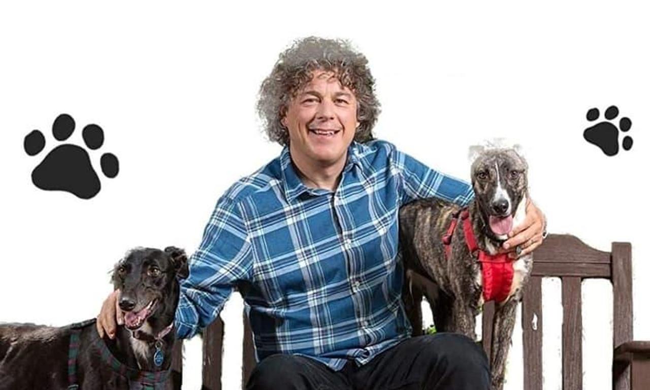 The Dog Rescuers with Alan Davies - Where to Watch and Stream Online ...