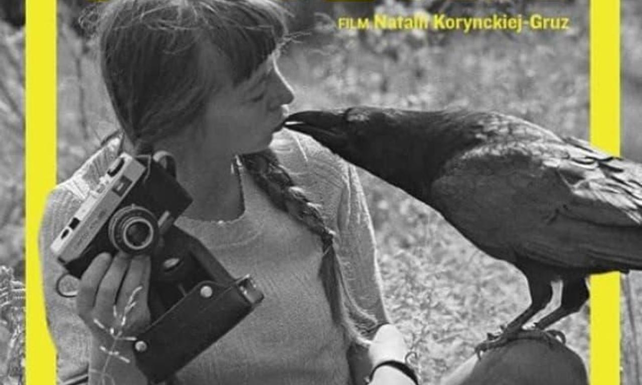 Simona - Where to Watch and Stream Online – Entertainment.ie