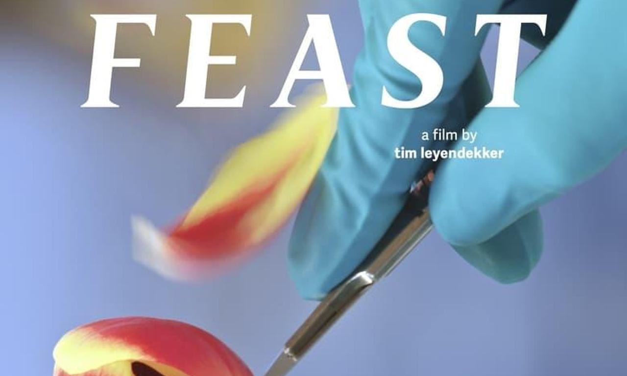 Feast - Where to Watch and Stream Online – Entertainment.ie
