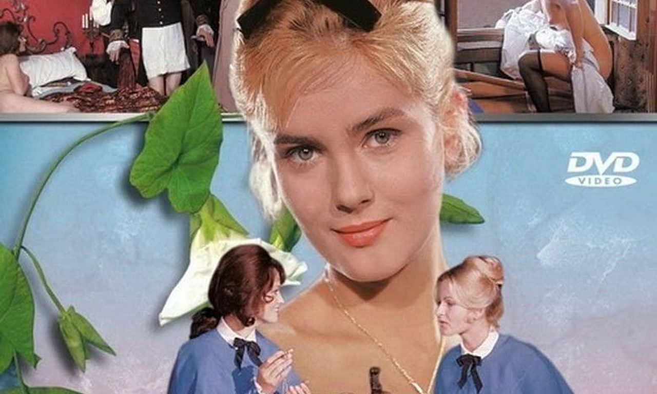 The Countess Died of Laughter - Where to Watch and Stream Online ...