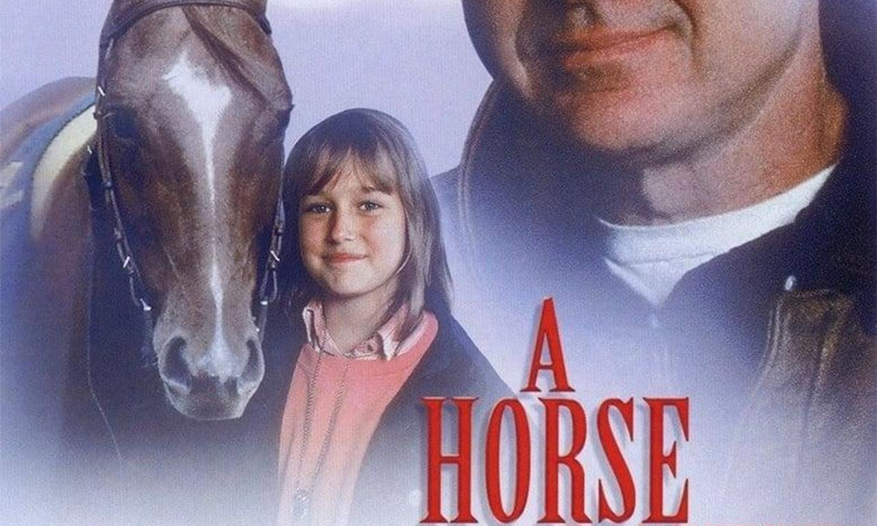 A Horse for Danny - Where to Watch and Stream Online – Entertainment.ie