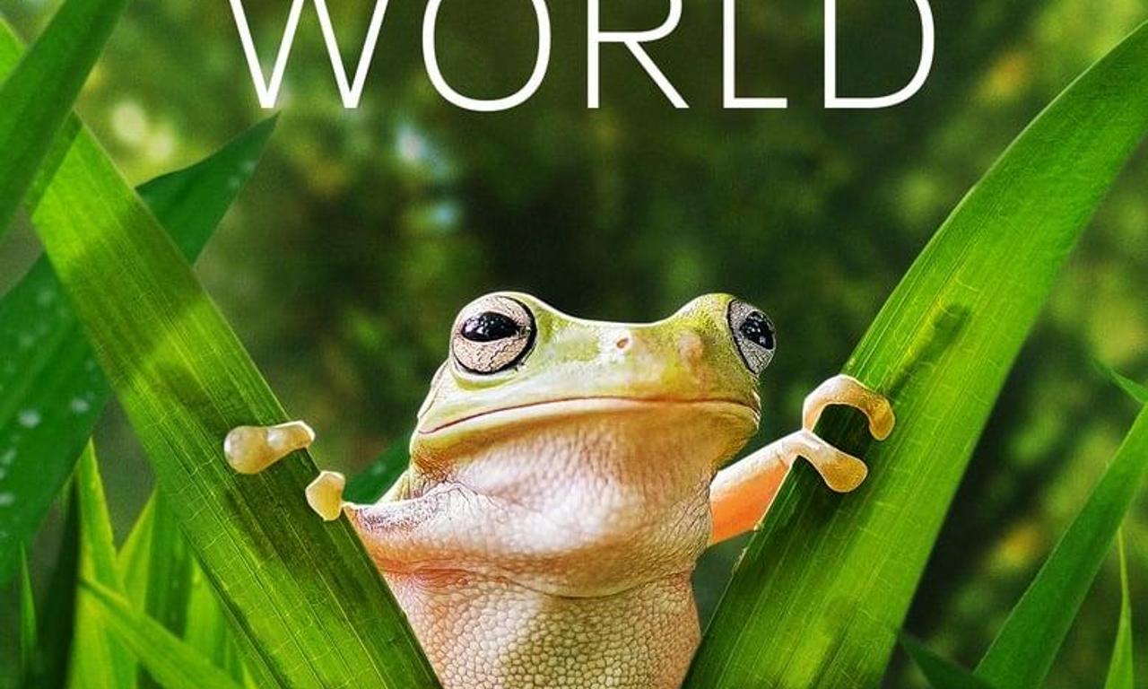 Tiny World - Where to Watch and Stream Online – Entertainment.ie