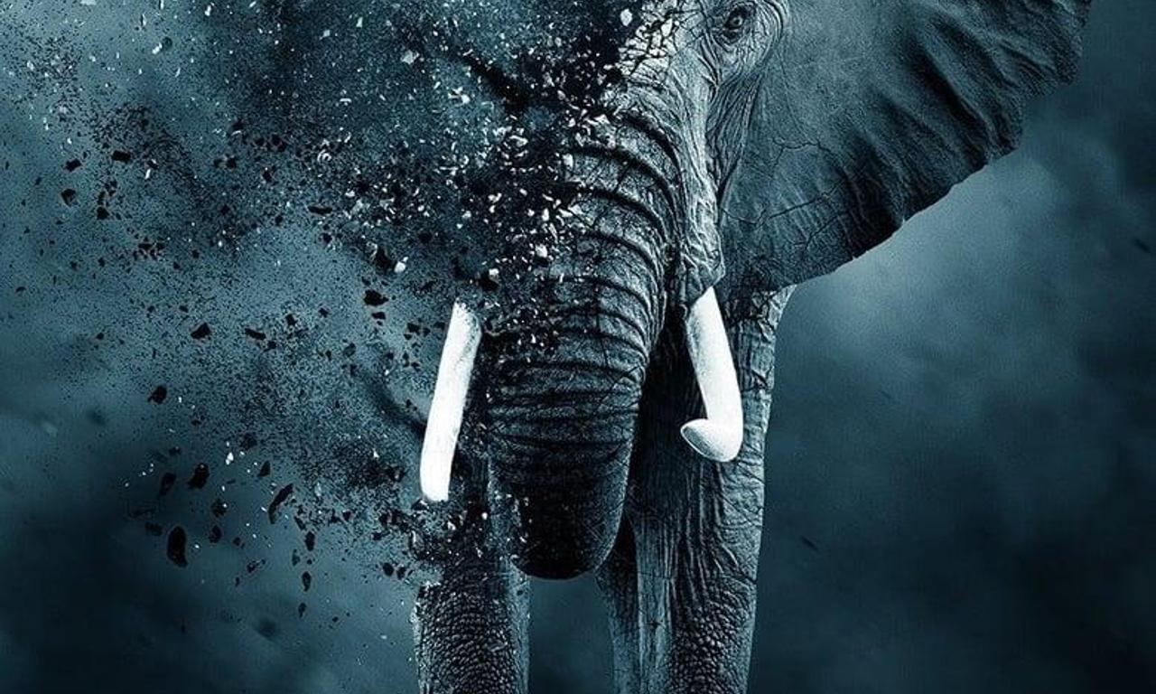 The Ivory Game - Where to Watch and Stream Online – Entertainment.ie