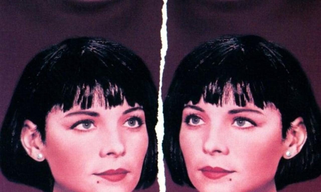 Double Vision - Where to Watch and Stream Online – Entertainment.ie