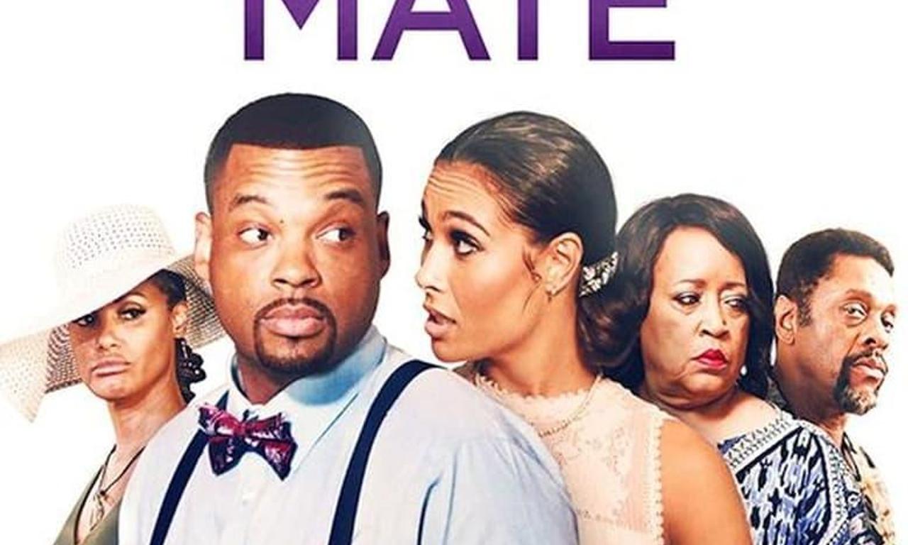 The Perfect Mate - Where to Watch and Stream Online – Entertainment.ie