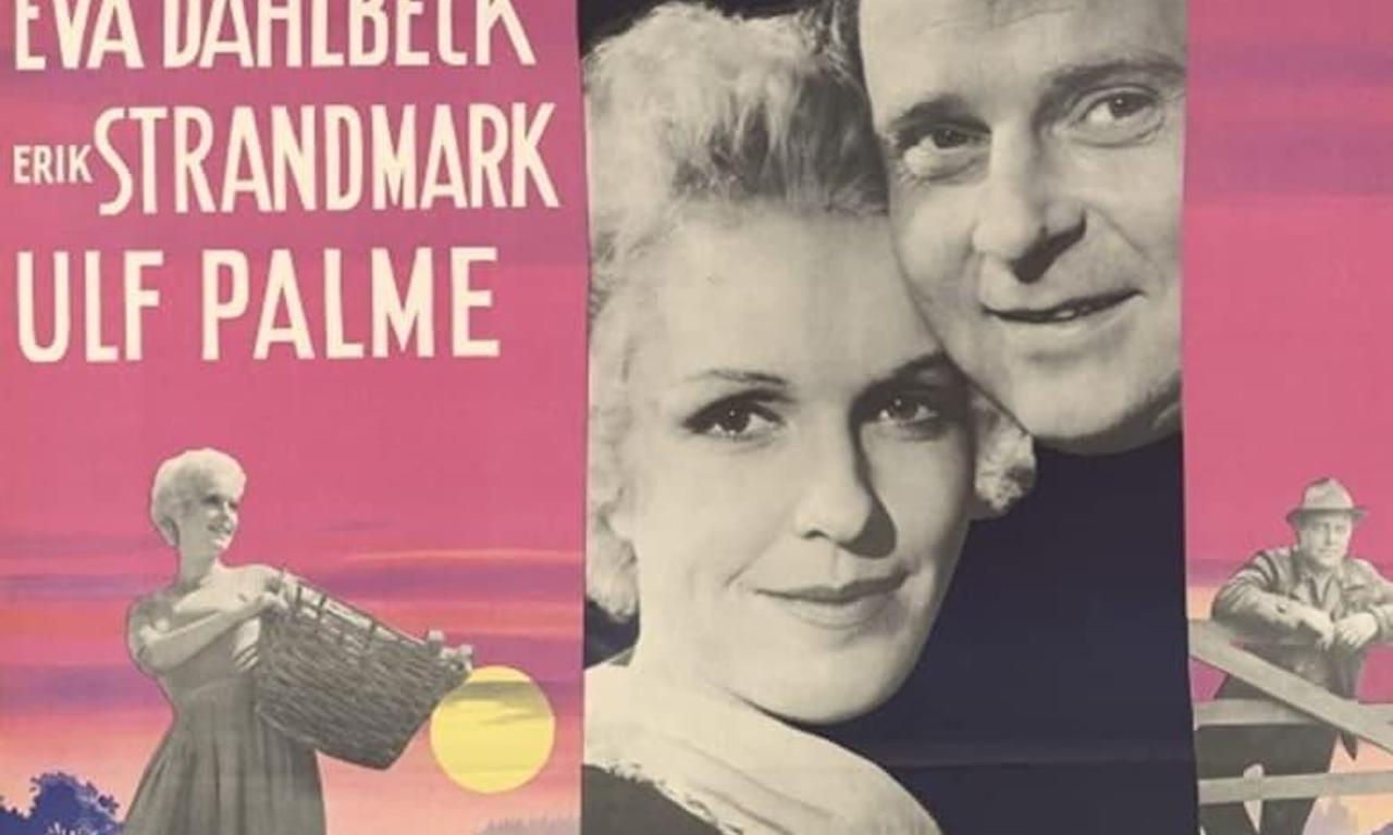 Tarp's Elin - Where to Watch and Stream Online – Entertainment.ie