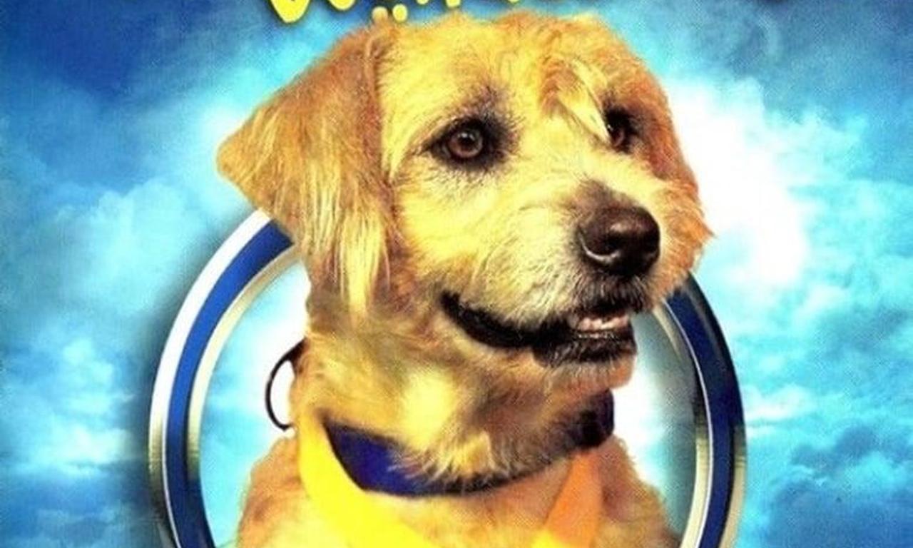 Lenny The Wonder Dog - Where to Watch and Stream Online – Entertainment.ie
