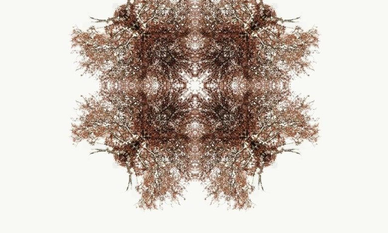 The Riddle - Where to Watch and Stream Online – Entertainment.ie