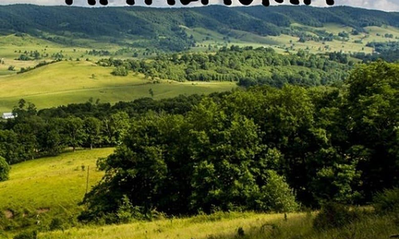 Wild Appalachia - Where to Watch and Stream Online – Entertainment.ie