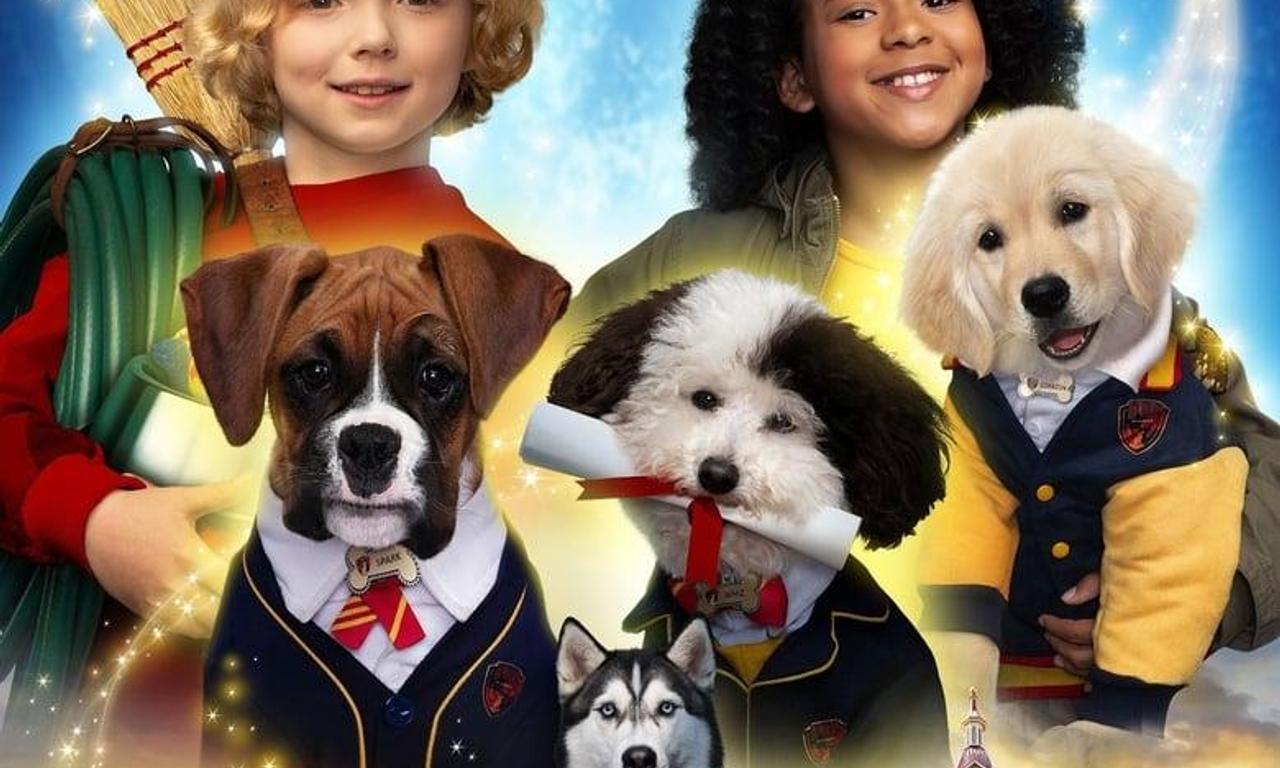 Pup Academy - Where to Watch and Stream Online – Entertainment.ie